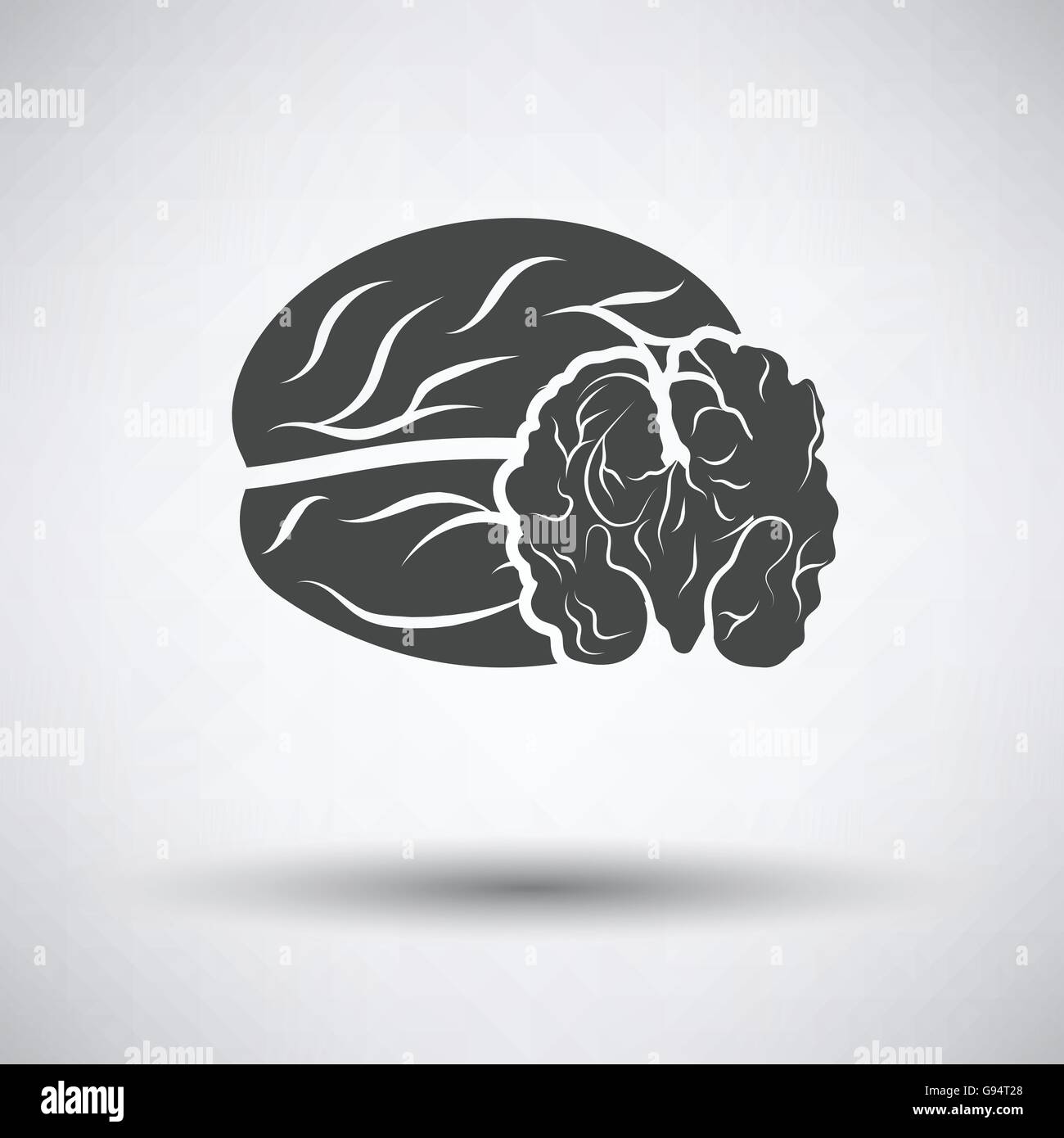 Walnut icon on gray background, round shadow. Vector illustration Stock ...