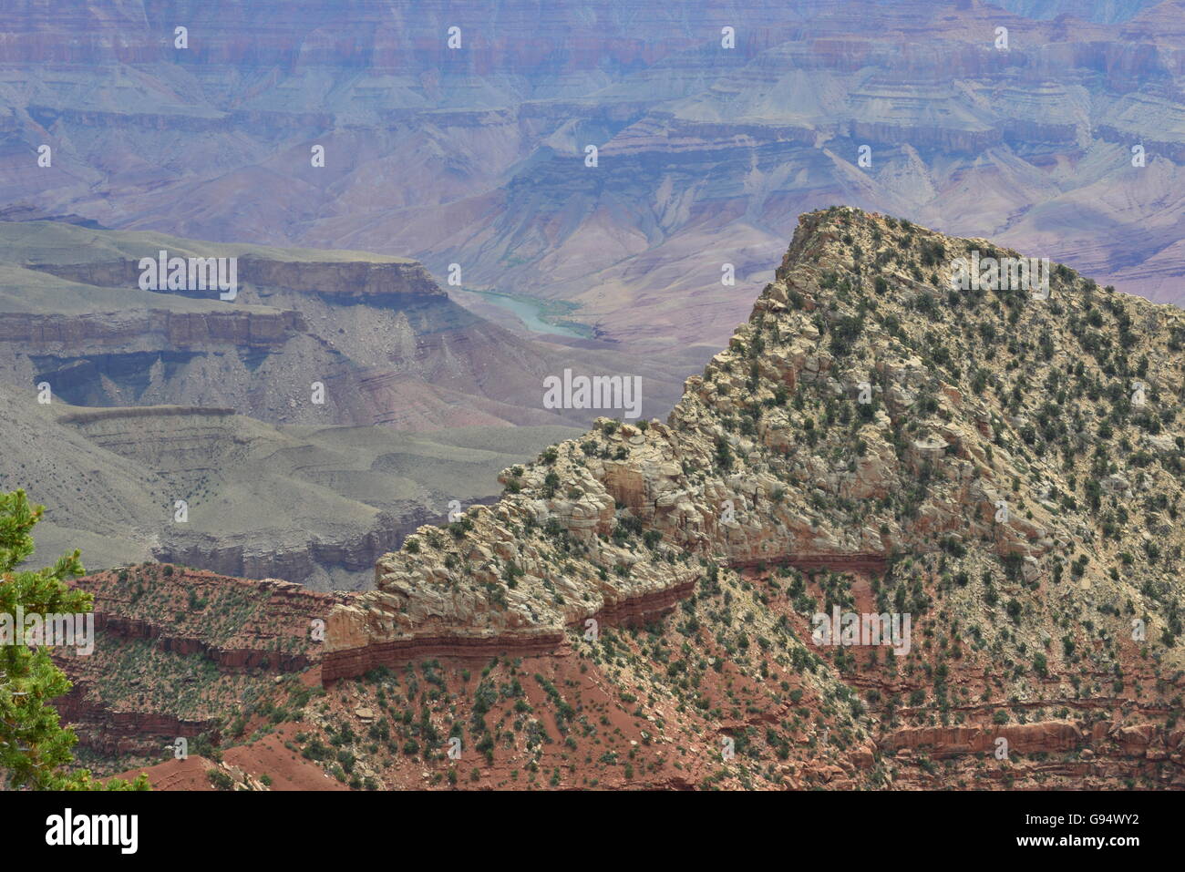 The North of the Grand Canyon in Arizona, America Stock Photo - Alamy