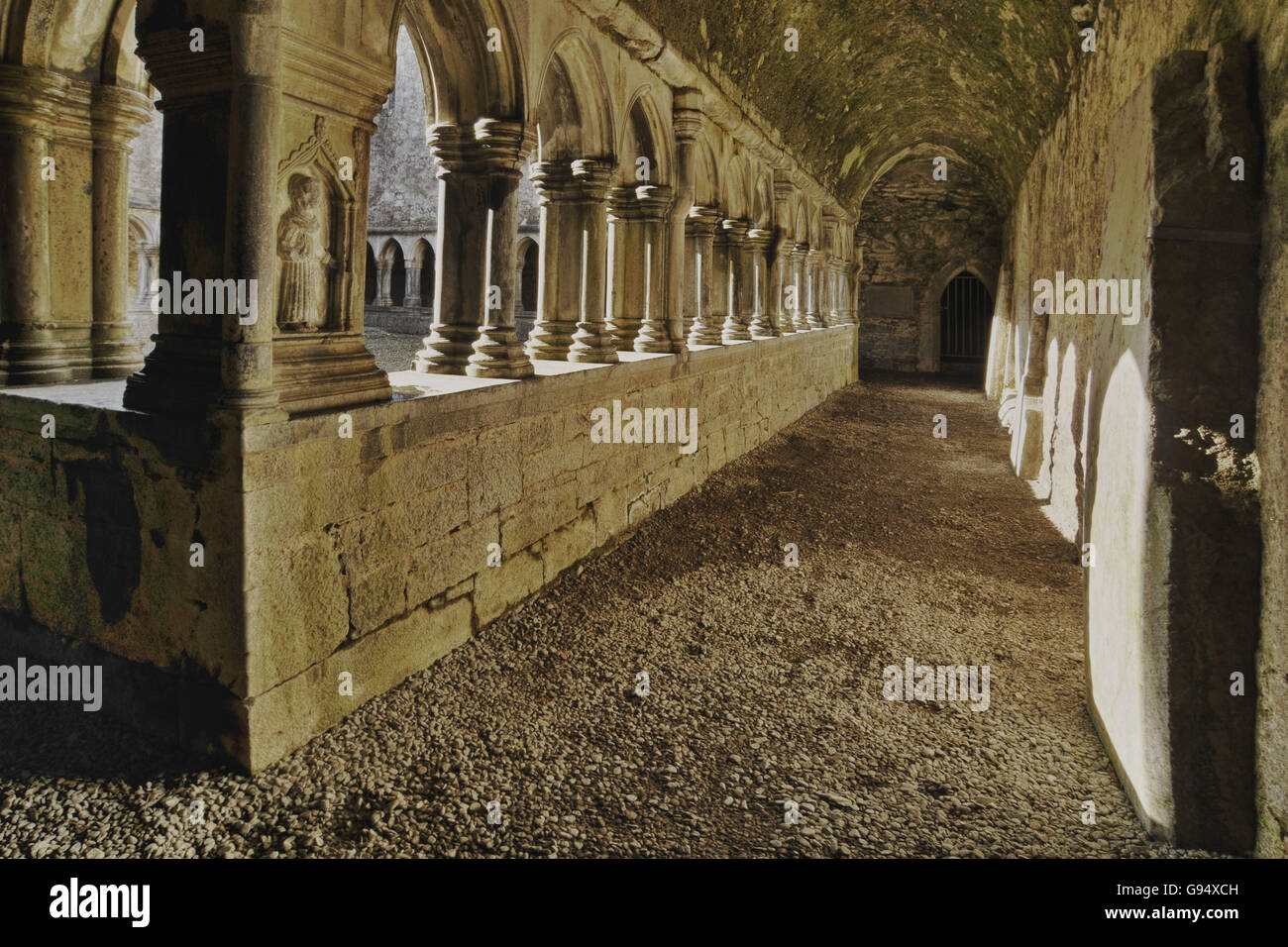 Cloisters, Askeaton Abbey, former Franciscan Abbey, County Limerick ...