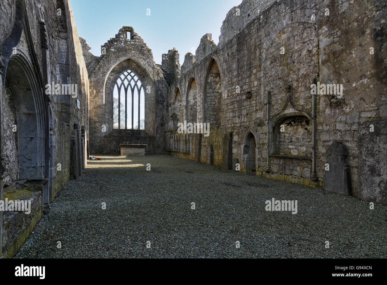 Cloister courtyard, Askeaton Abbey, former Franciscan Abbey, County ...