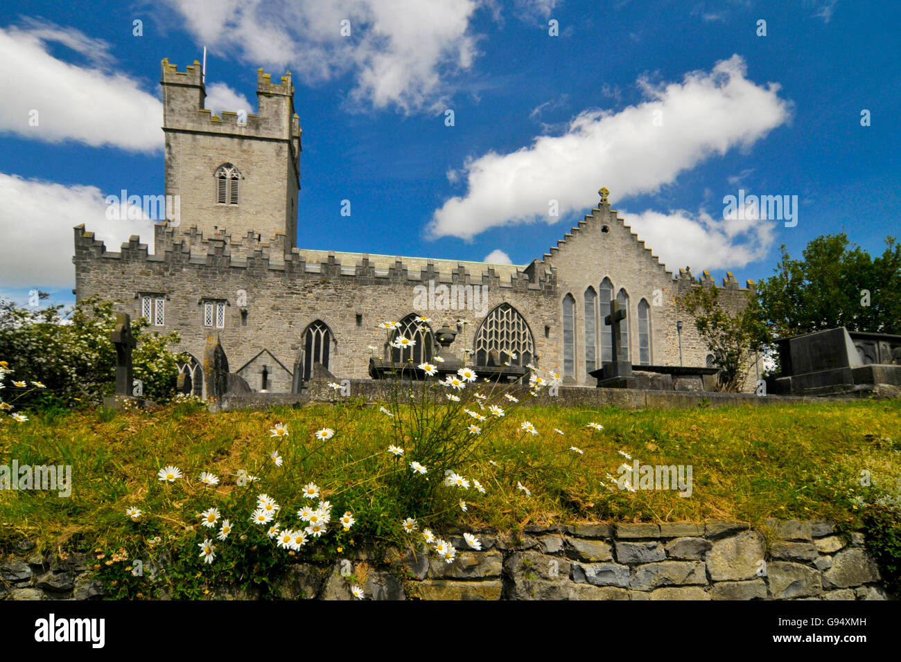 St marys cathedral limerick county hi-res stock photography and images ...