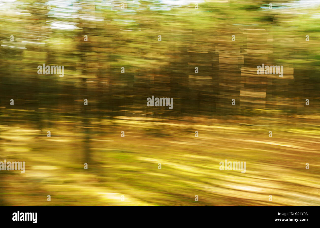 movement background abstract sun light motion Stock Photo - Alamy