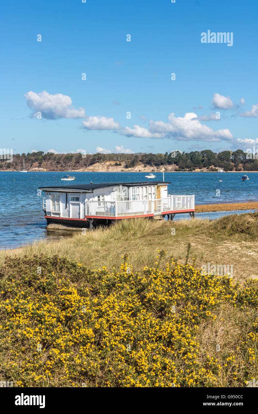 Studland bay dorset boat hi-res stock photography and images - Alamy