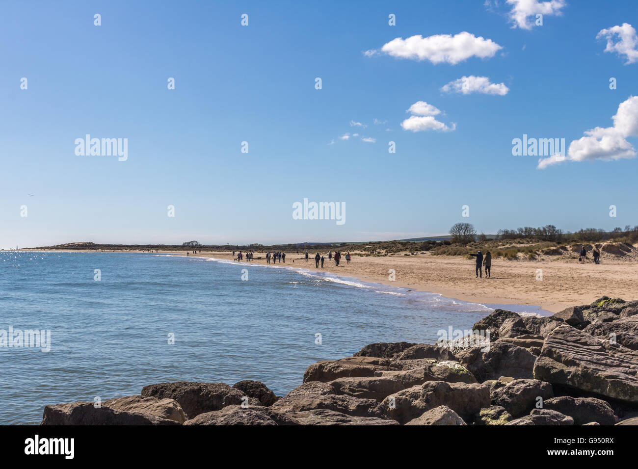 Shell bay dorset hi-res stock photography and images - Alamy