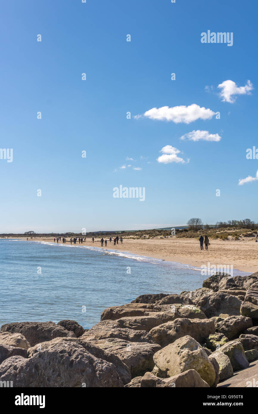 Shell bay dorset hi-res stock photography and images - Alamy