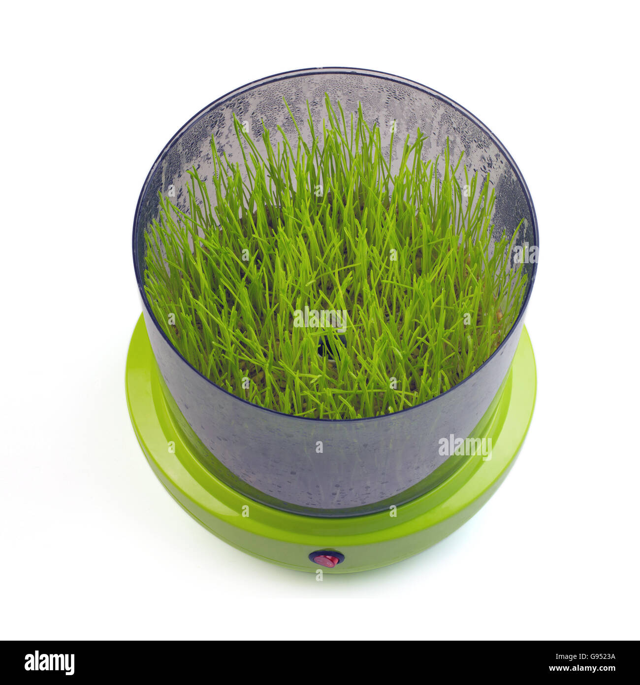 Cereal root germinate agriculture hi-res stock photography and images ...