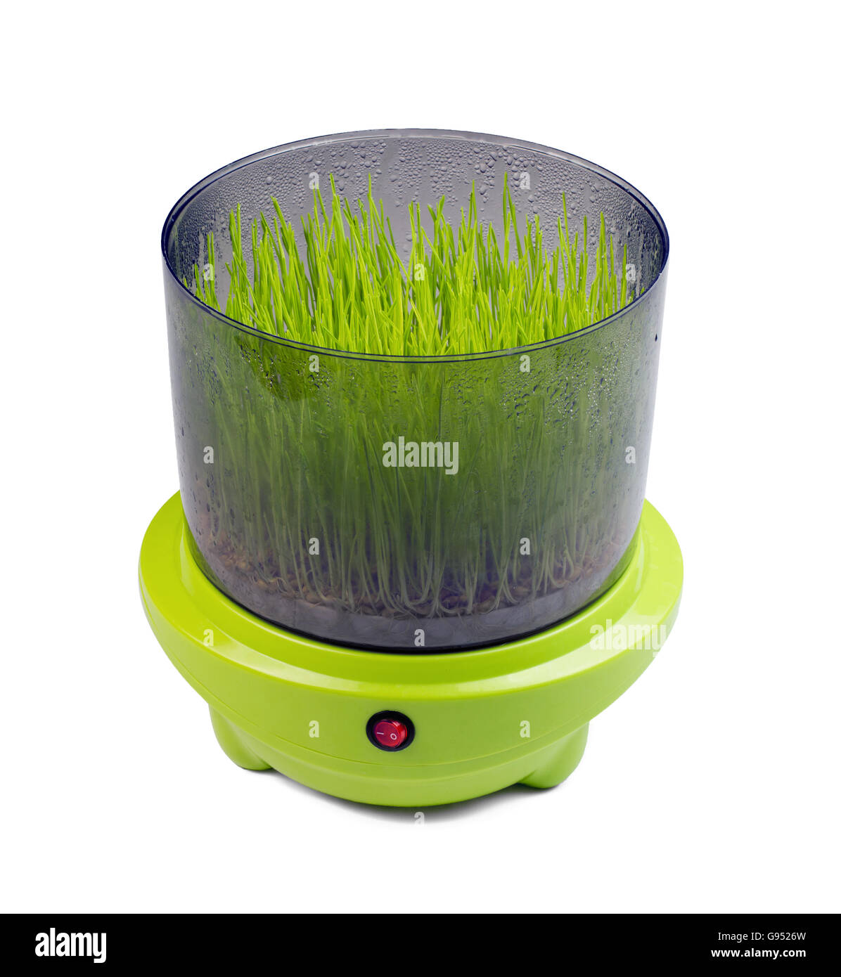 Cereal root germinate agriculture hi-res stock photography and images ...