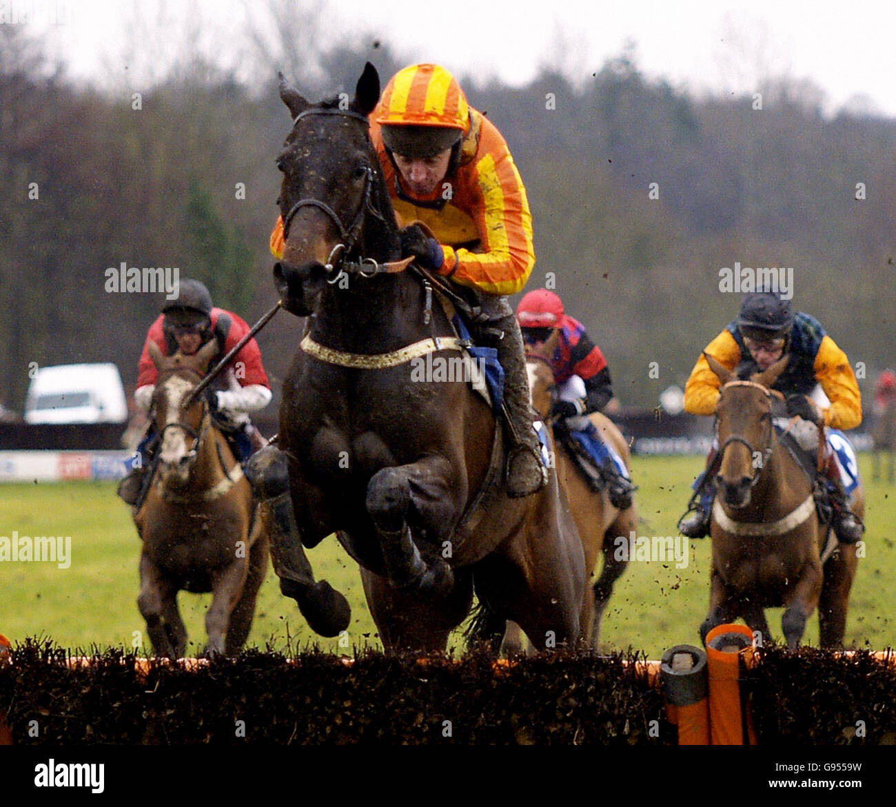 Lingfield racecourse jump hi-res stock photography and images - Alamy