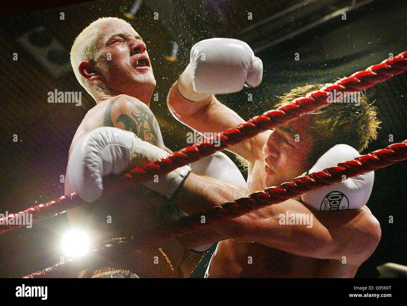 Boxing100yearsbook boxing100yearsbook boxingbookedit1 uigclareh hi-res ...