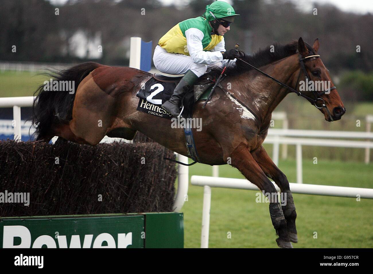 Hedgehunter. Hedgehunter jumps clear to come second afetr winning horse ...