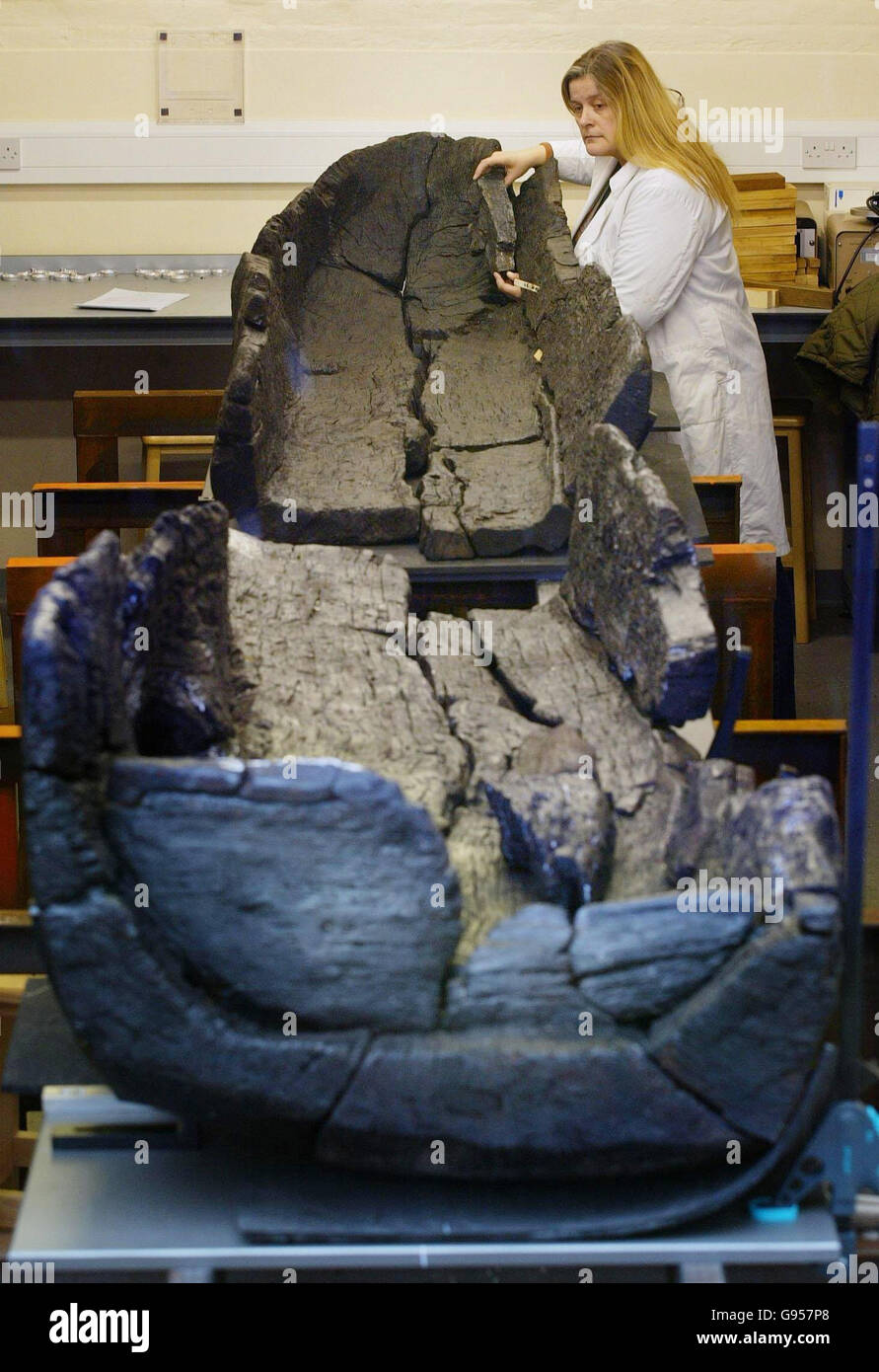 Log in sea hi-res stock photography and images - Alamy