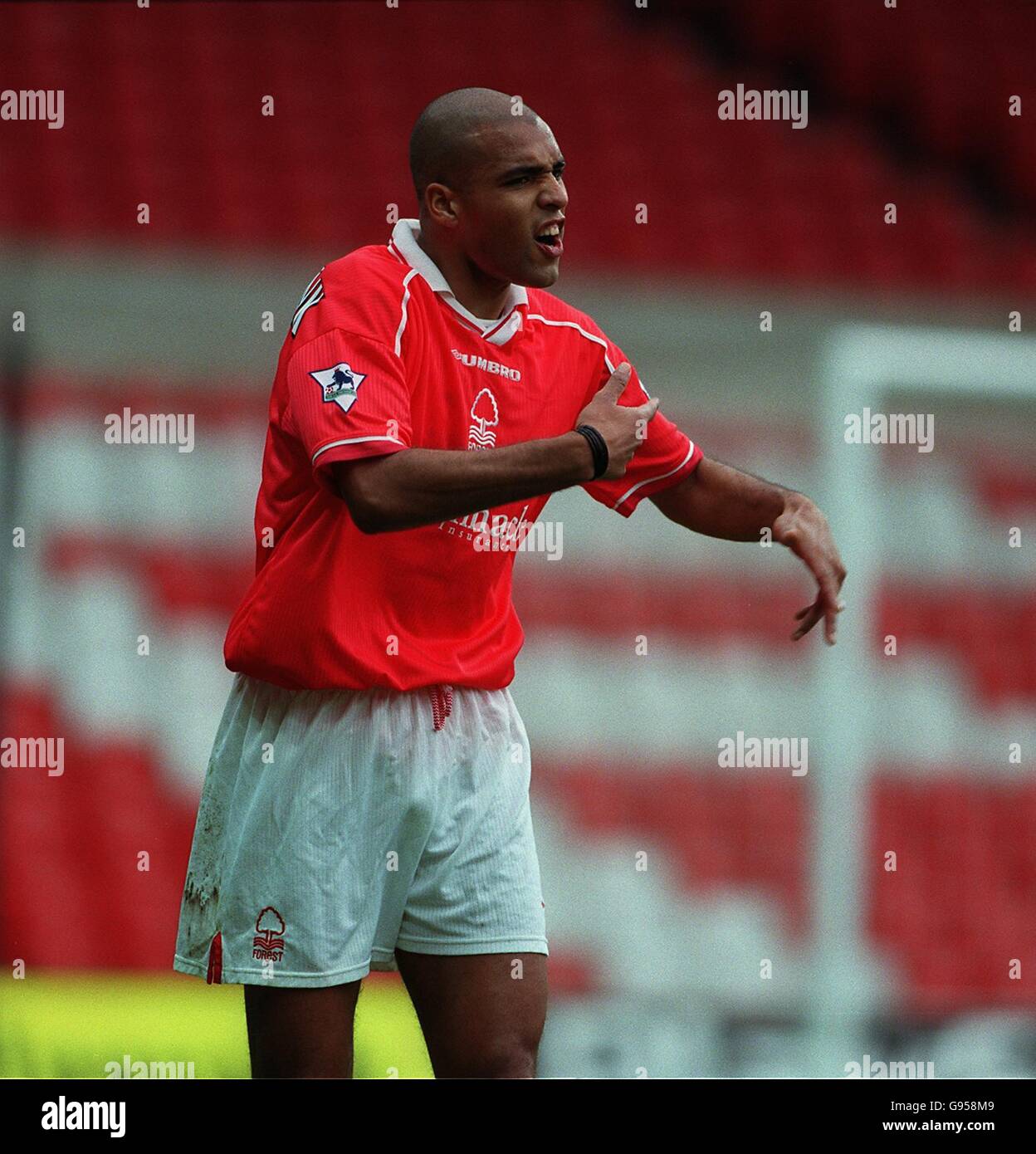 Van hooijdonk forest hi-res stock photography and images - Alamy