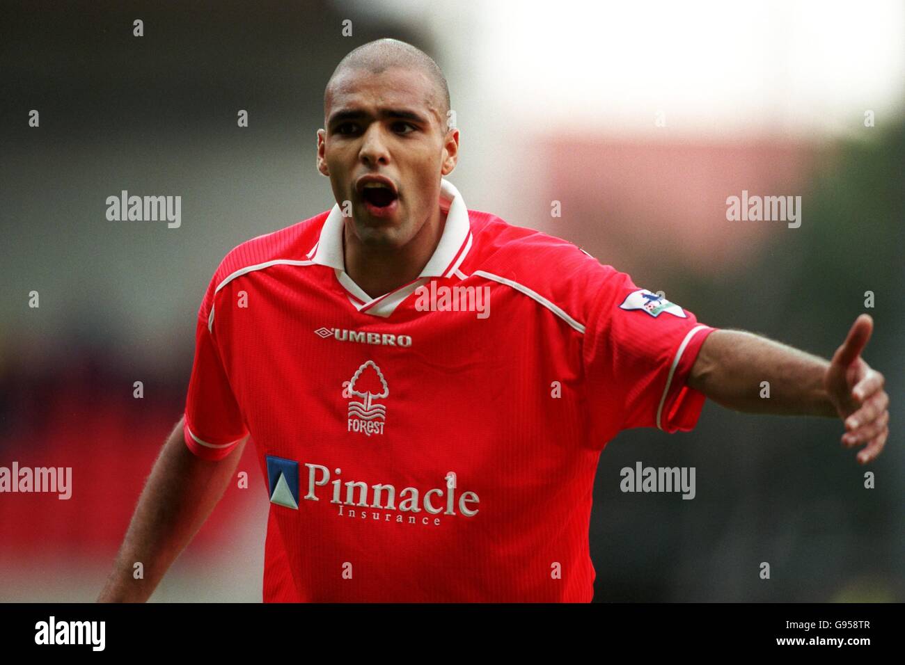 Pierre van hooijdonk forest hi-res stock photography and images - Alamy