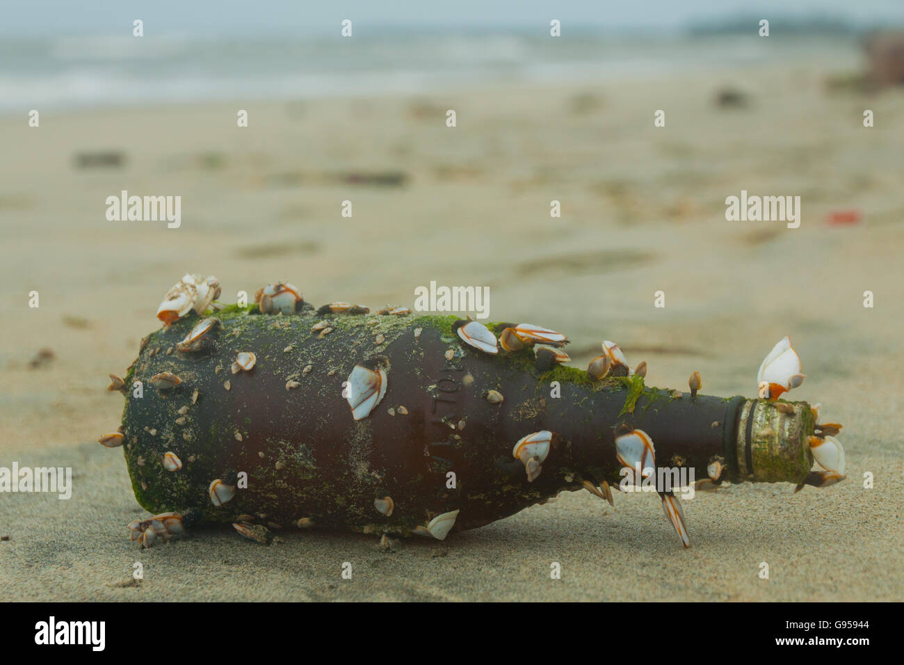 bottle with Shells on the sand Stock Photo - Alamy