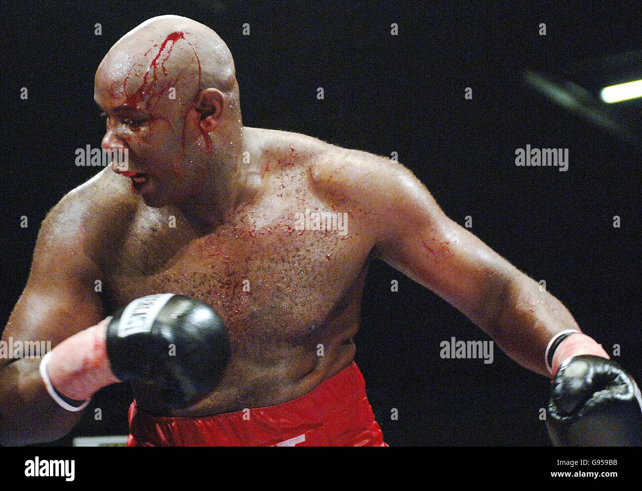 Boxing commonwealth heavyweight championship matt hi-res stock ...