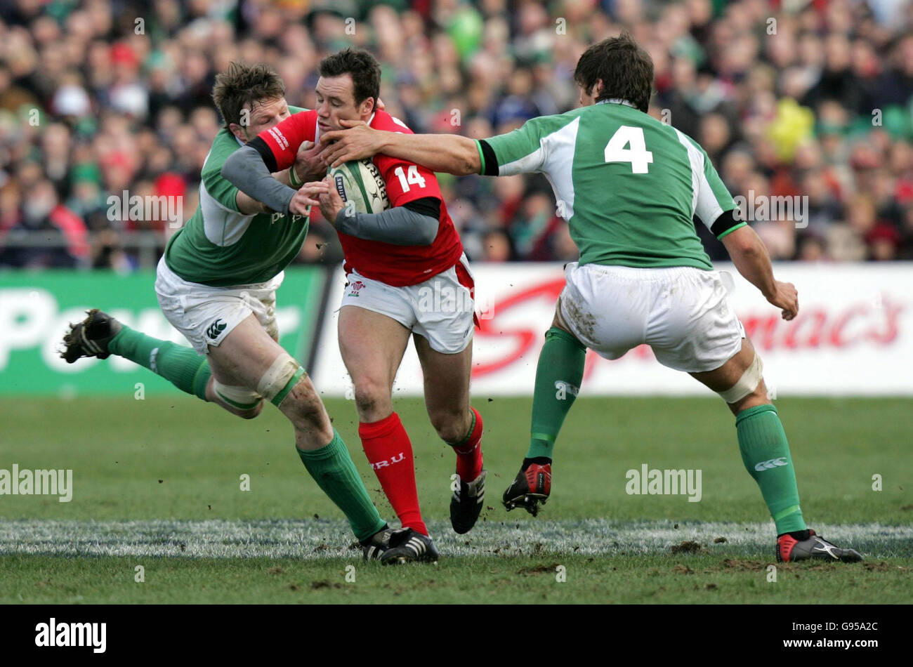 Donnacha o'callaghan hi-res stock photography and images - Alamy