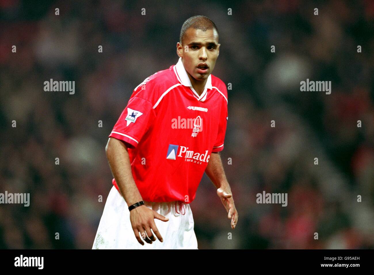 Van hooijdonk forest hi-res stock photography and images - Alamy