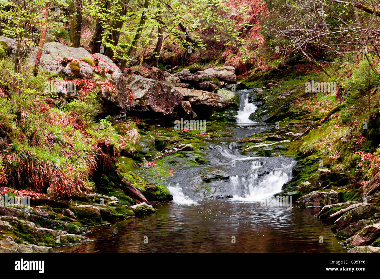 A river scene from Ardennes region hiking paths in Belgium Stock Photo ...