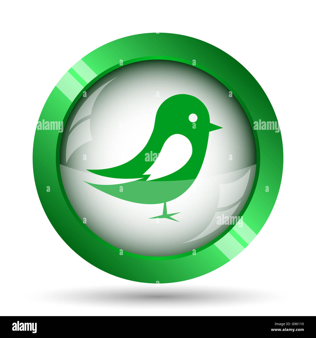 Bird icon. Internet button on white background Stock Photo - Alamy