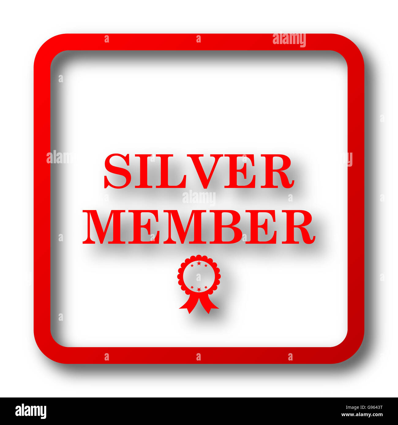 Silver member icon. Internet button on white background Stock Photo - Alamy