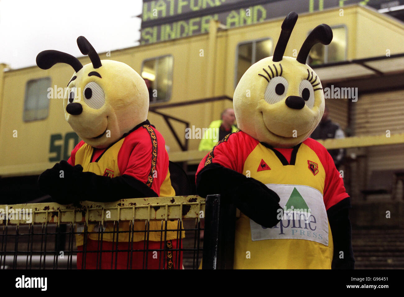 The watford mascots hi-res stock photography and images - Alamy