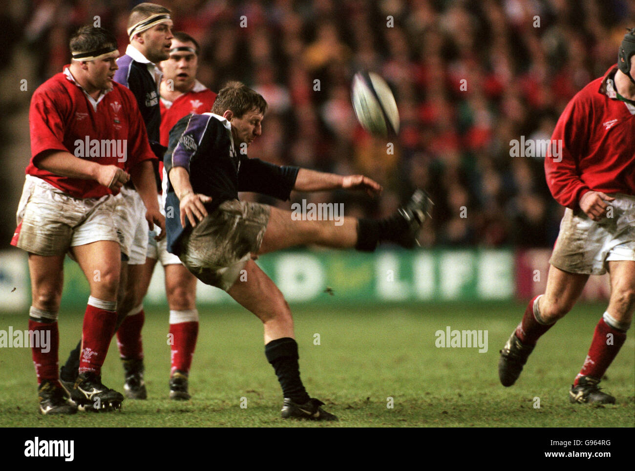 Rugby Union - Five Nations Championship - Scotland v Wales Stock Photo ...