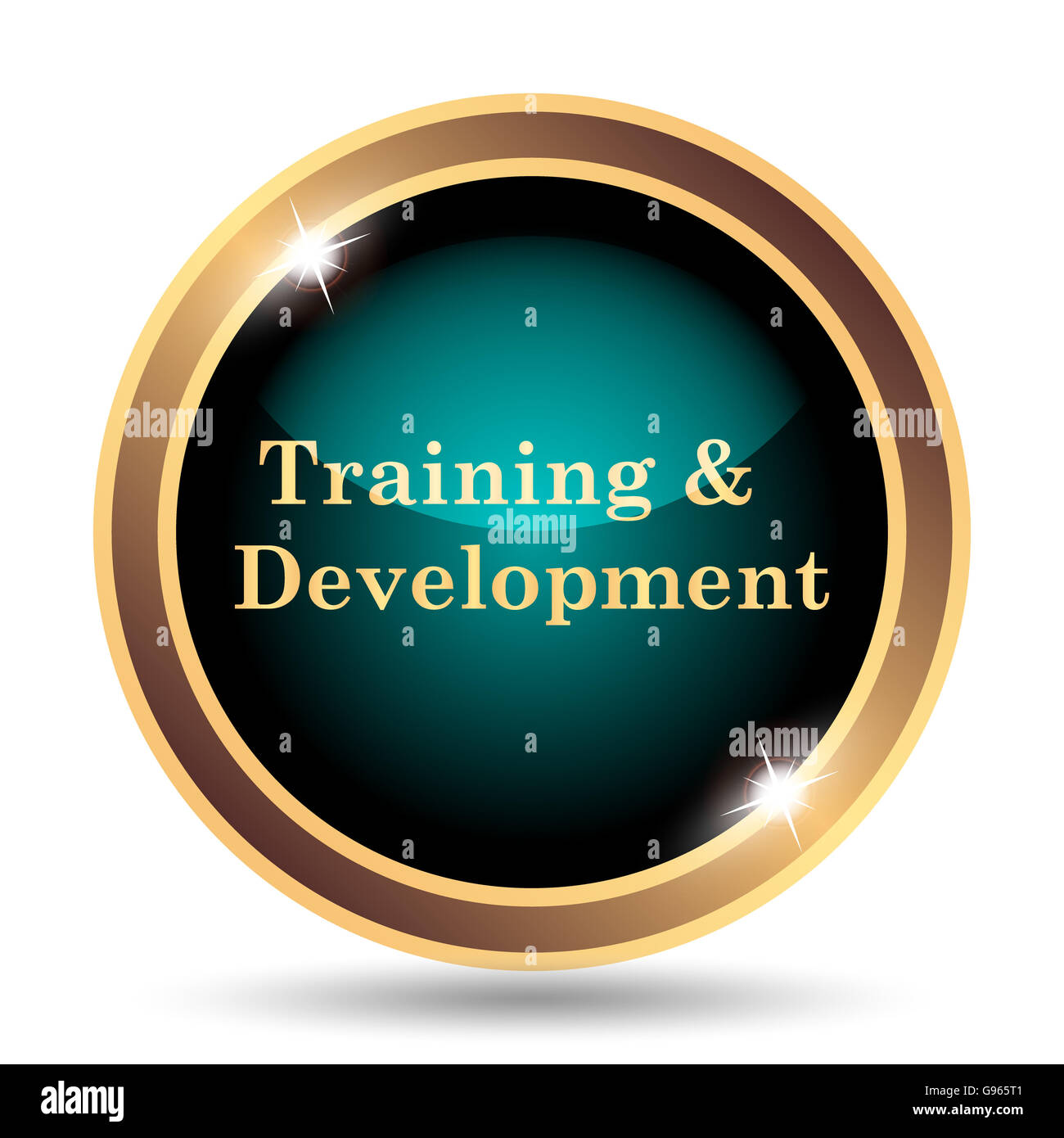Training and development icon. Internet button on white background ...