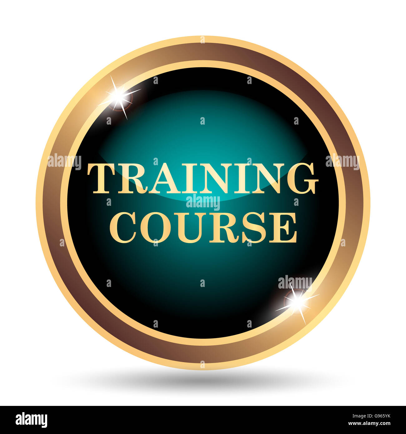 Training course icon. Internet button on white background Stock Photo ...