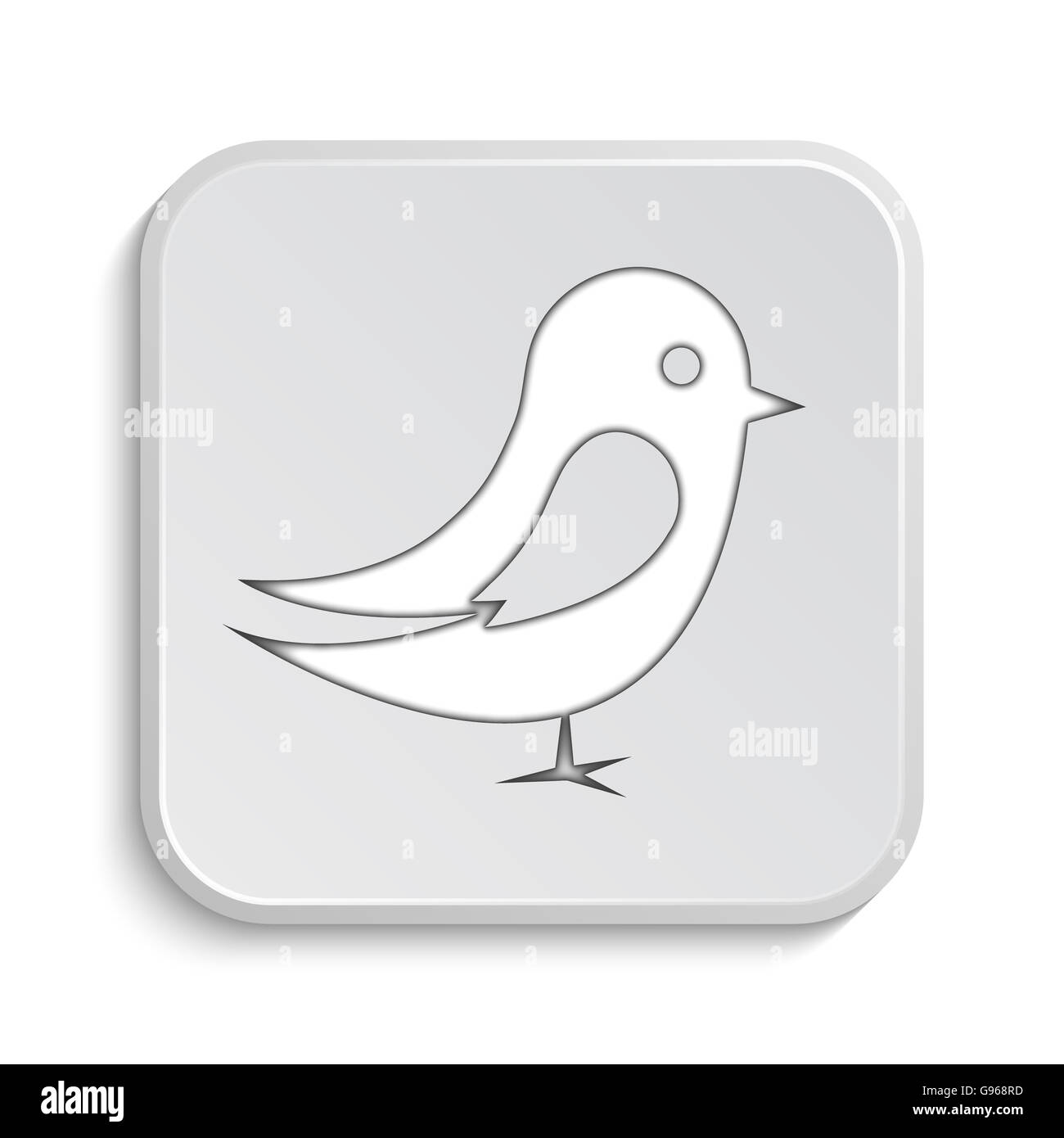 Bird icon. Internet button on white background Stock Photo - Alamy