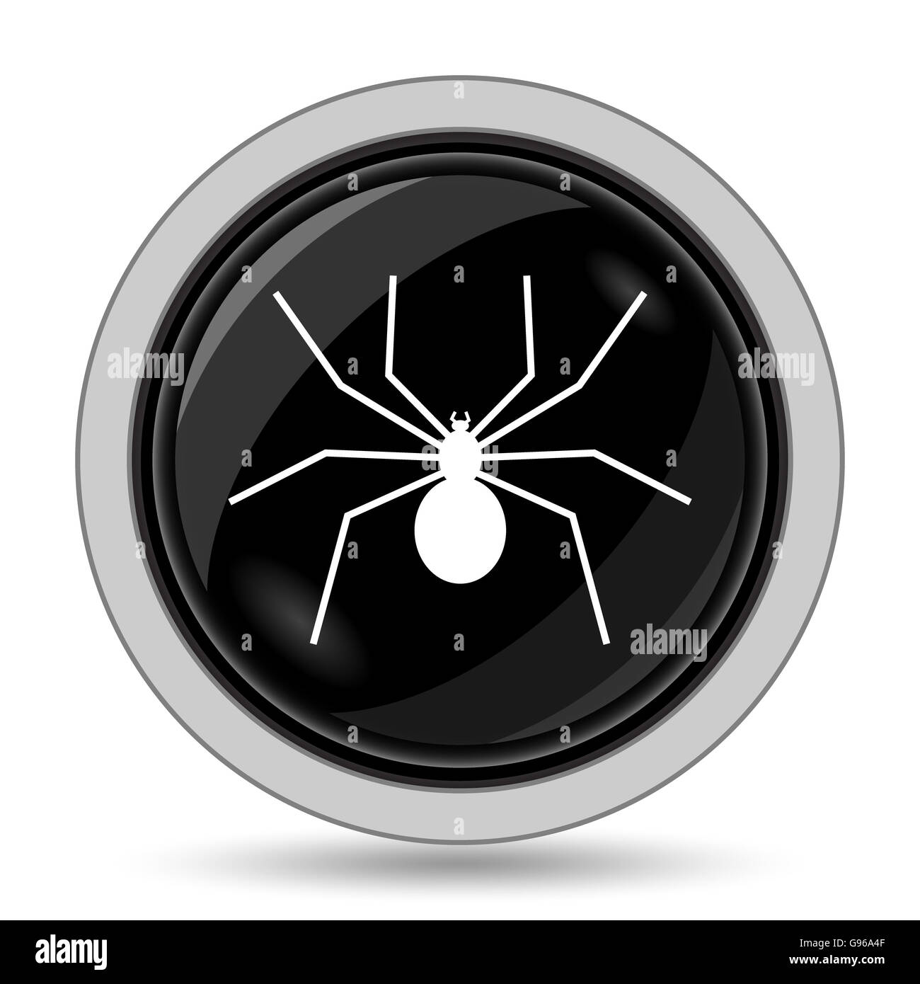 Spider icon. Internet button on white background Stock Photo - Alamy