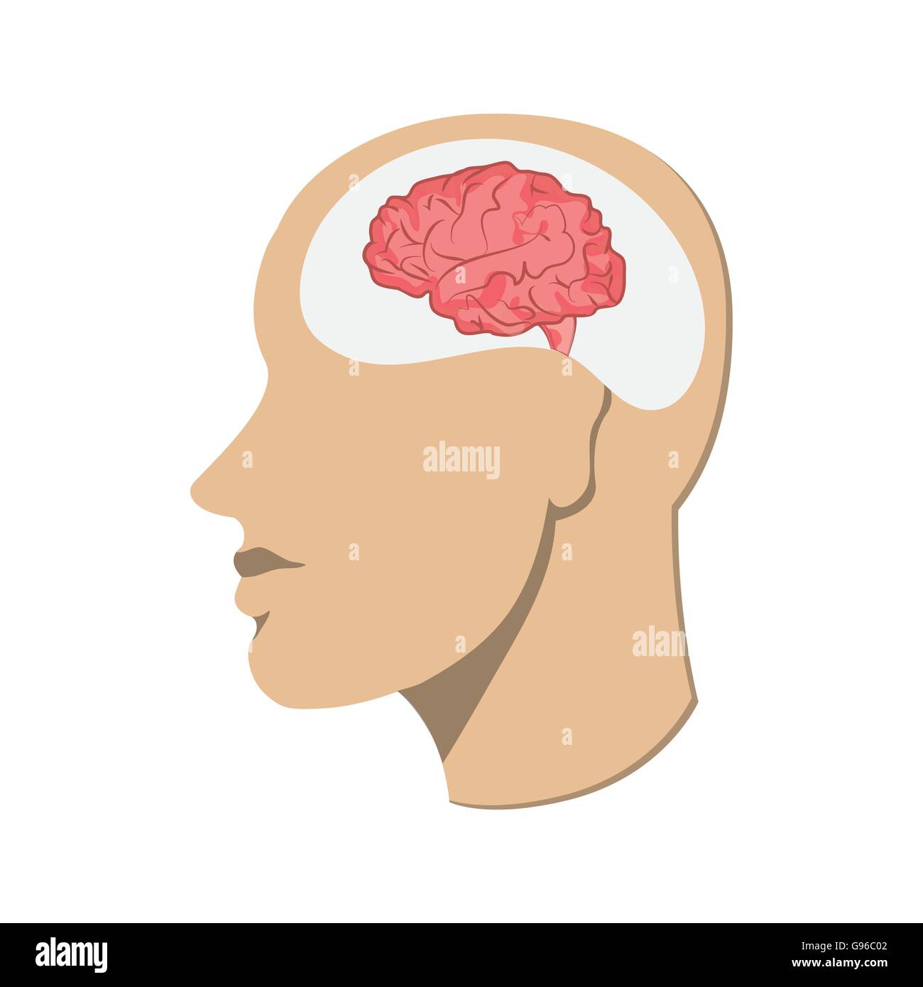 Human head icon. Thinking design. Vector graphic Stock Vector Image ...