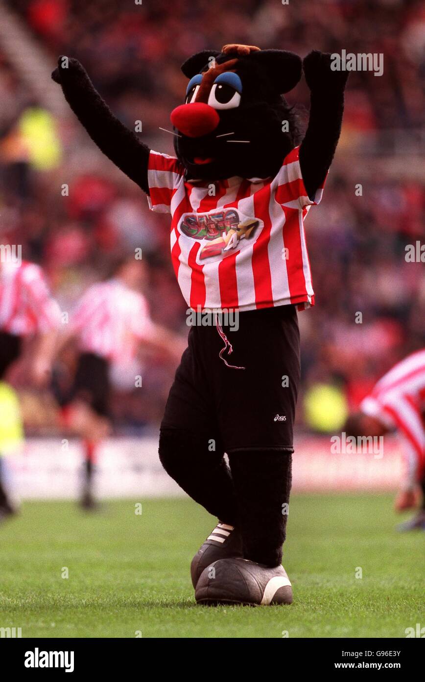 Samson the cat the sunderland mascot hi-res stock photography and ...