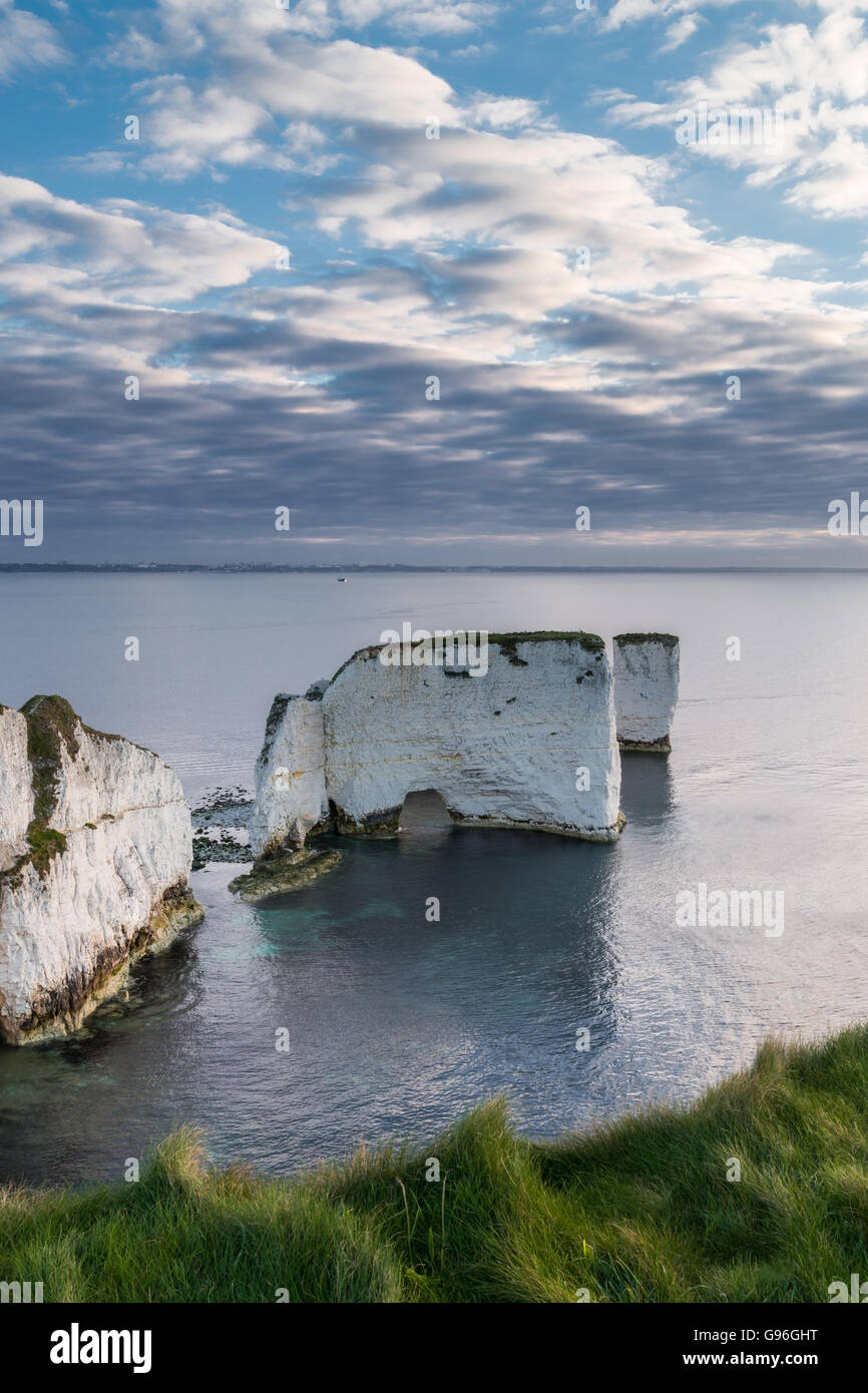 Old Harry Rock Stock Photo - Alamy