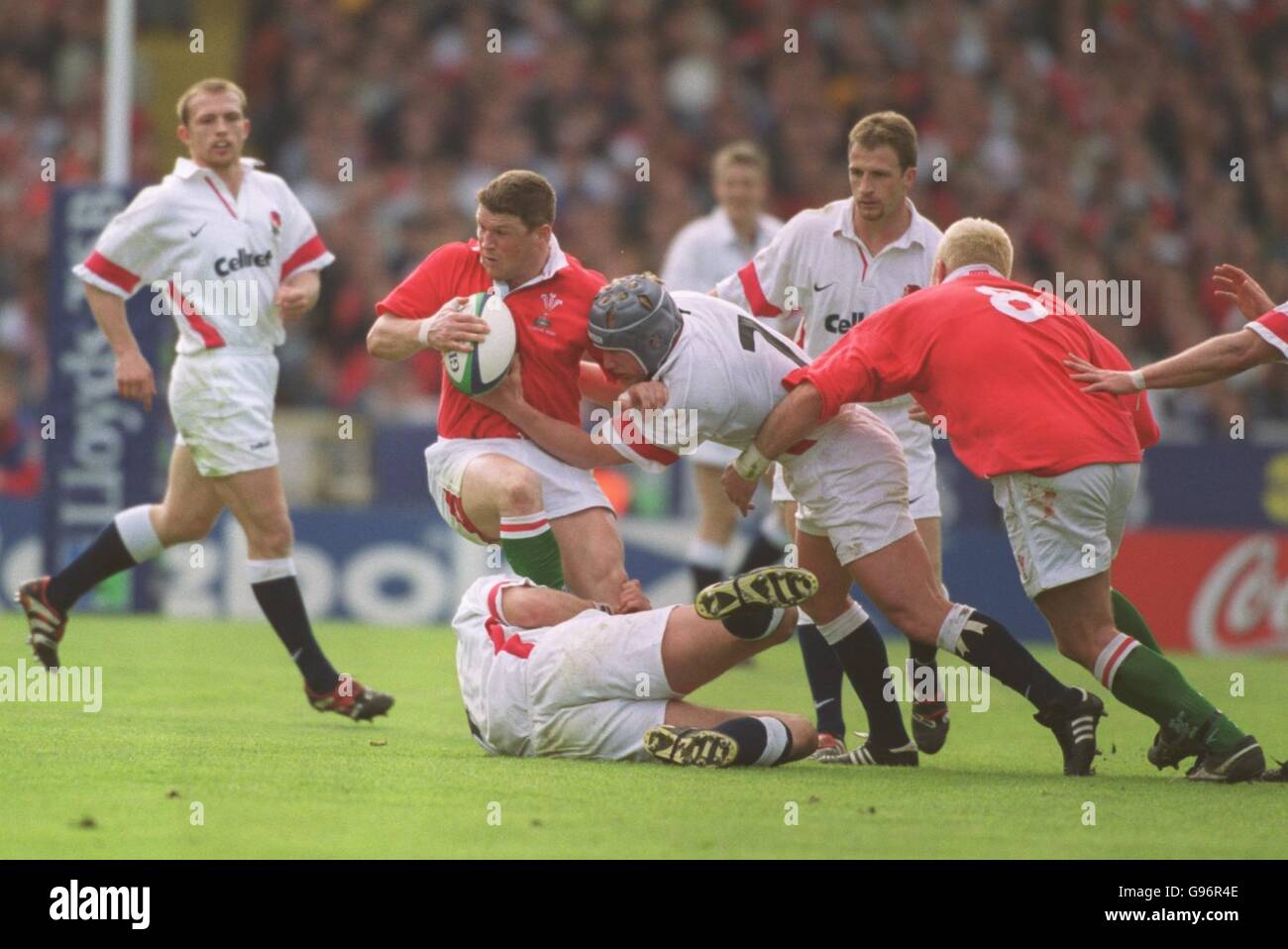 Gibbs five hi-res stock photography and images - Alamy