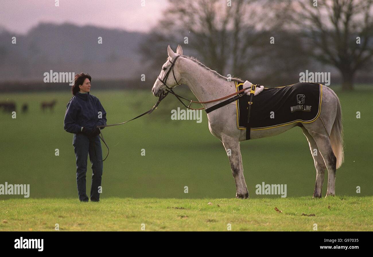Horse Racing - Venetia Williams Stables Open Day. Trainer Venetia ...
