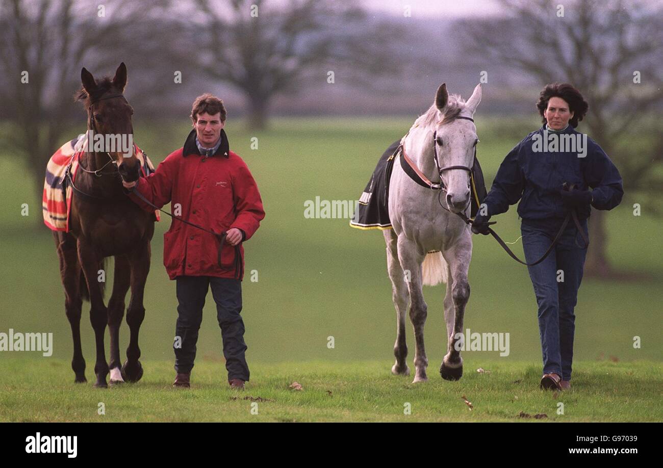 Horse Racing - Venetia Williams Stables Open Day Stock Photo - Alamy