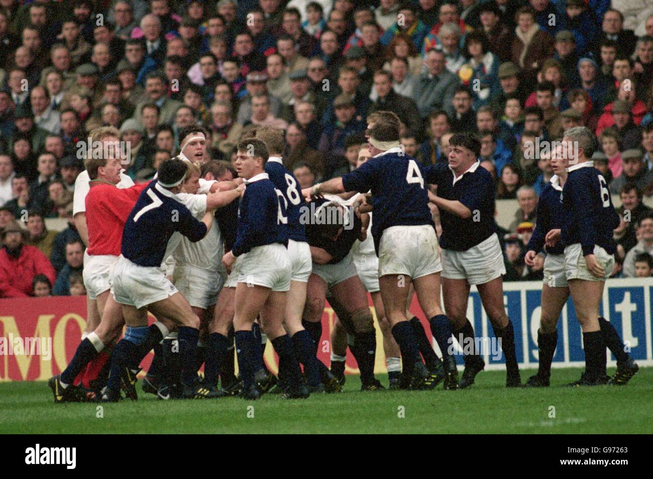English scottish players fight referee moves in hi-res stock ...