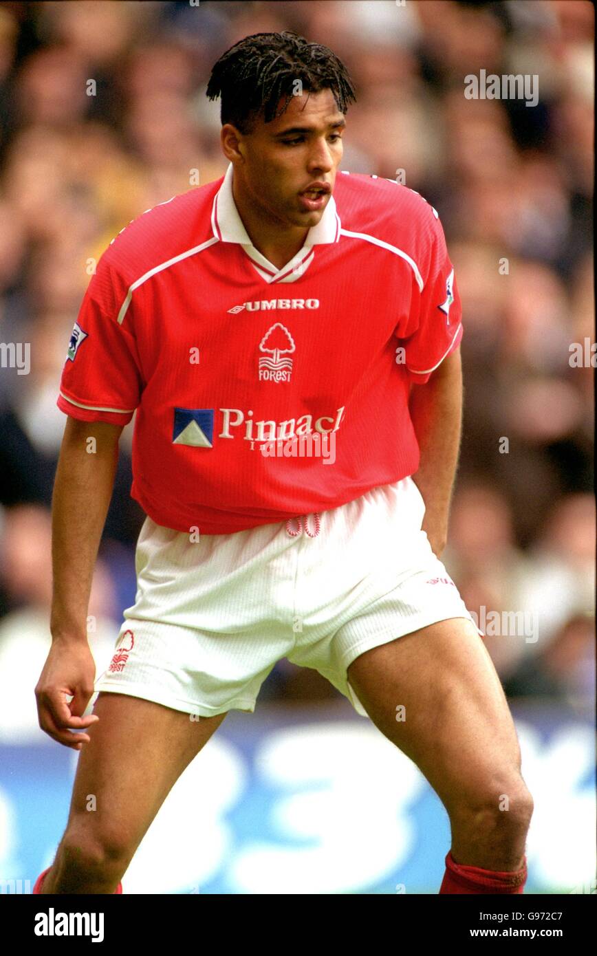 Pierre van hooijdonk forest hi-res stock photography and images - Alamy