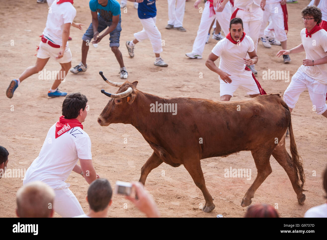 Running of bulls through streets of Pamplona,Spain Stock Photo - Alamy