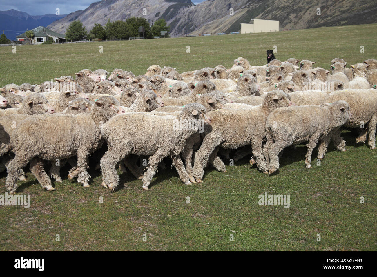 Cora lynn hi-res stock photography and images - Alamy