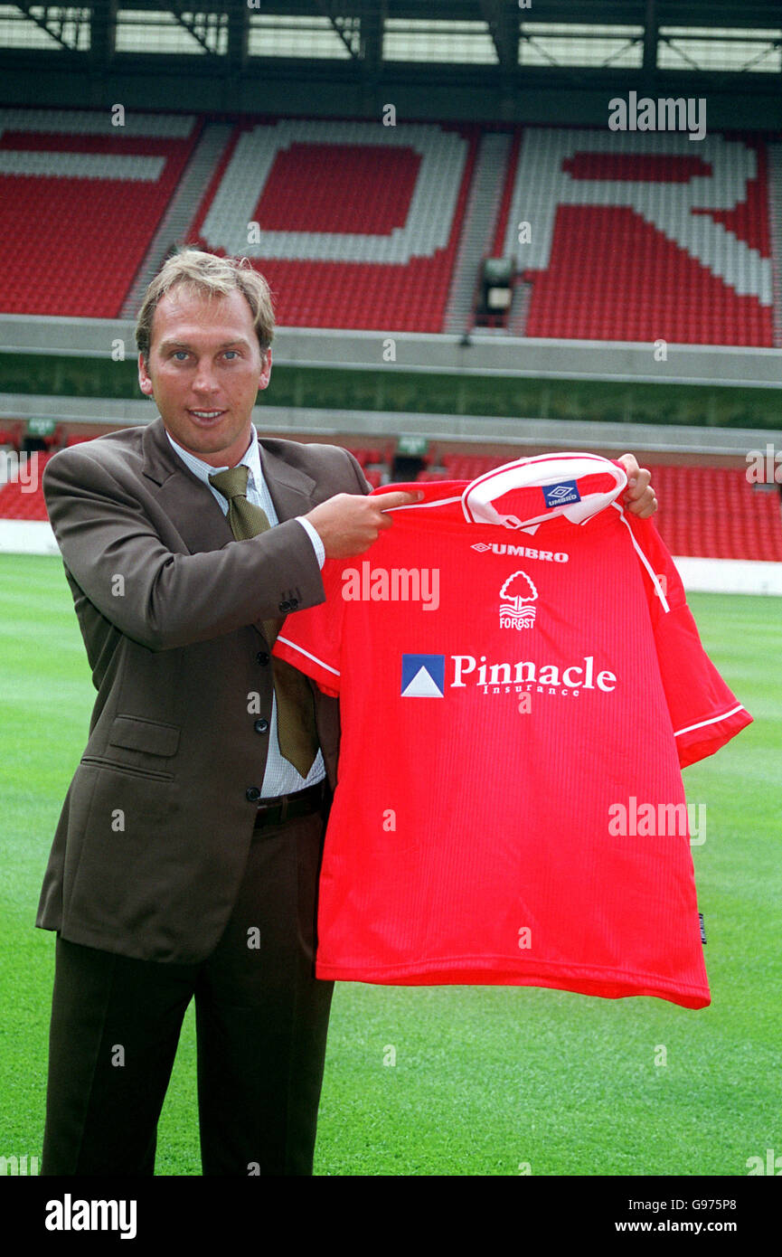 David platt forest hi-res stock photography and images - Alamy