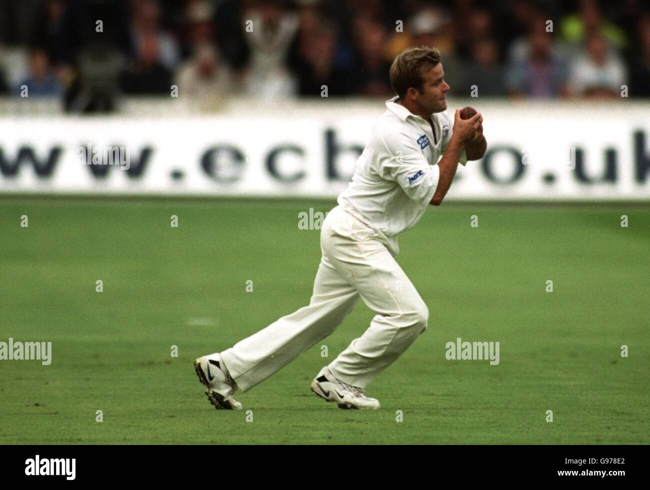 Cricket stock matt windows hi-res stock photography and images - Alamy