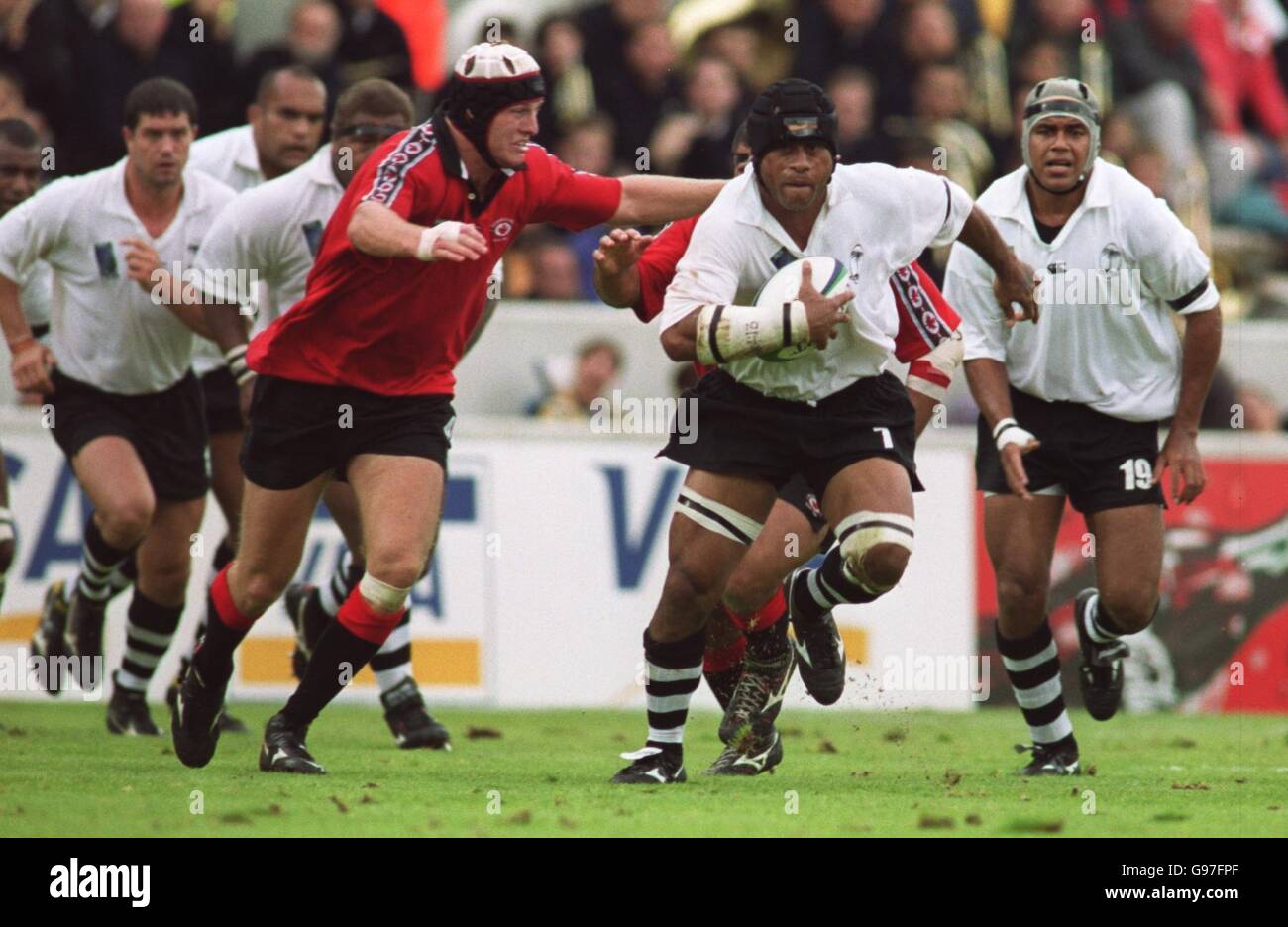 Setareki tawake hi-res stock photography and images - Alamy