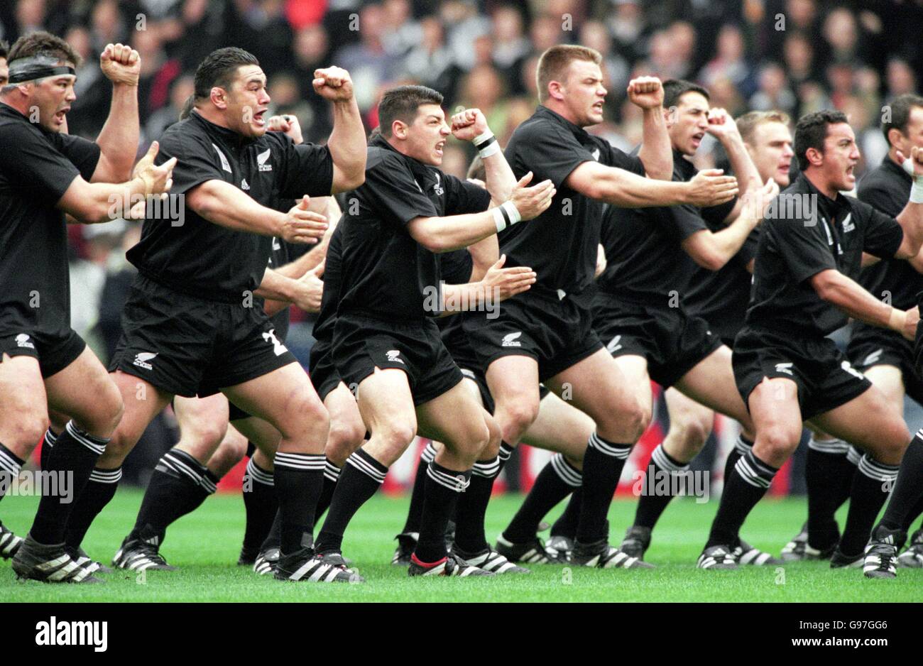 The new zealand team do the haka before the match hi-res stock ...
