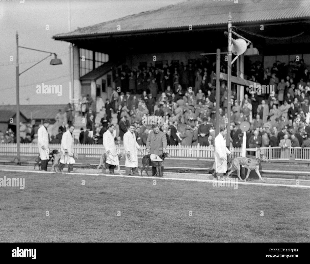 Greyhound Racing - Hackney Wick Stadium Stock Photo - Alamy
