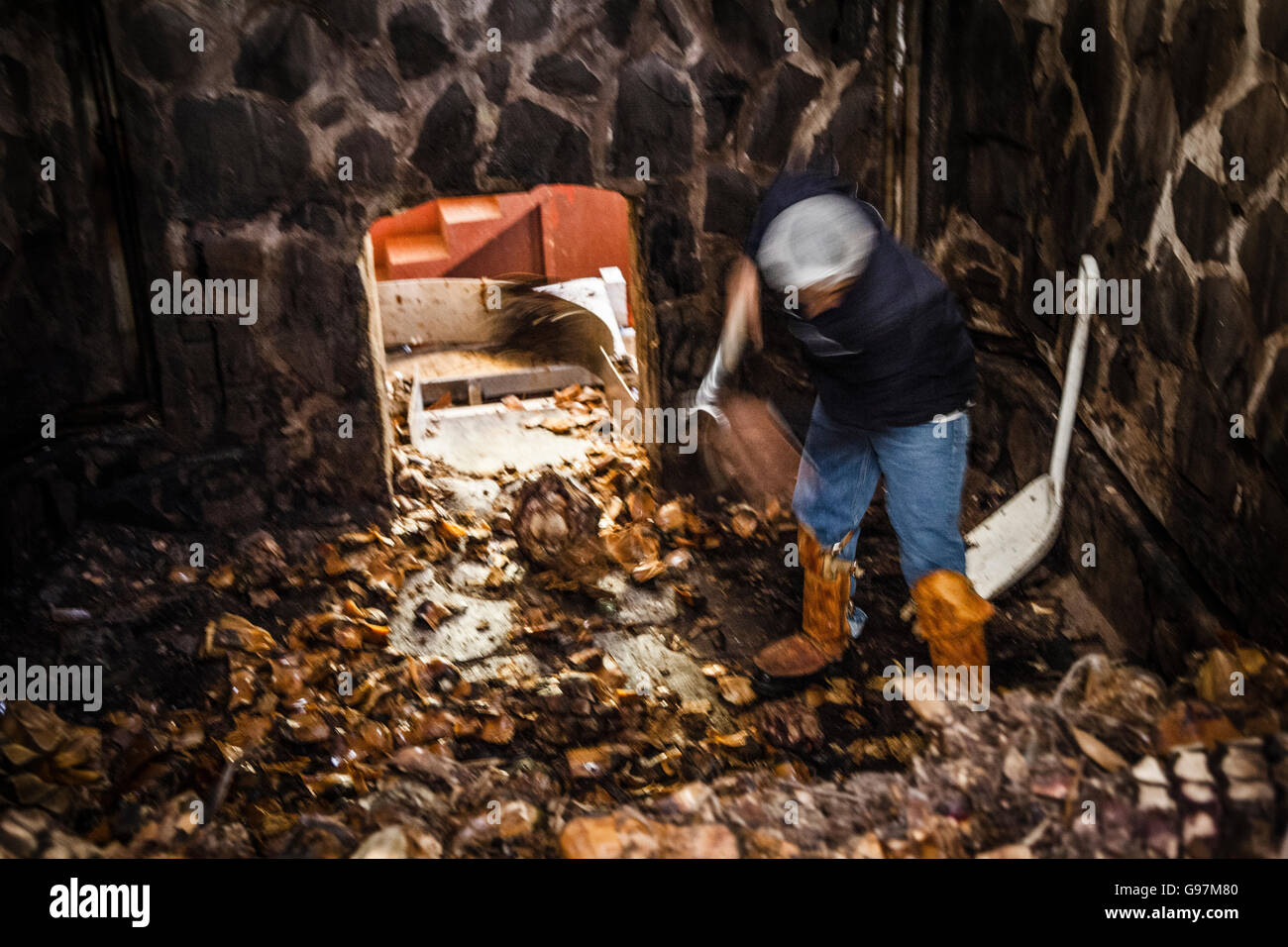 Workers loading agave to brick oven at Jose Cuervo tequila distillery ...