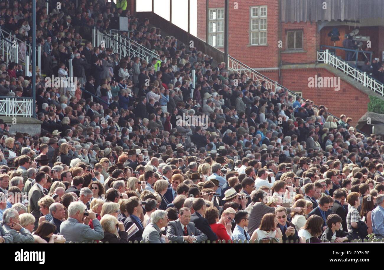 Huge crowd horse racing hi-res stock photography and images - Alamy
