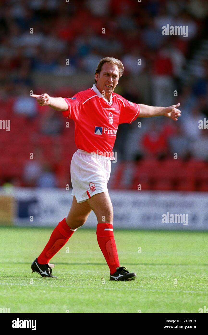 David platt forest hi-res stock photography and images - Alamy