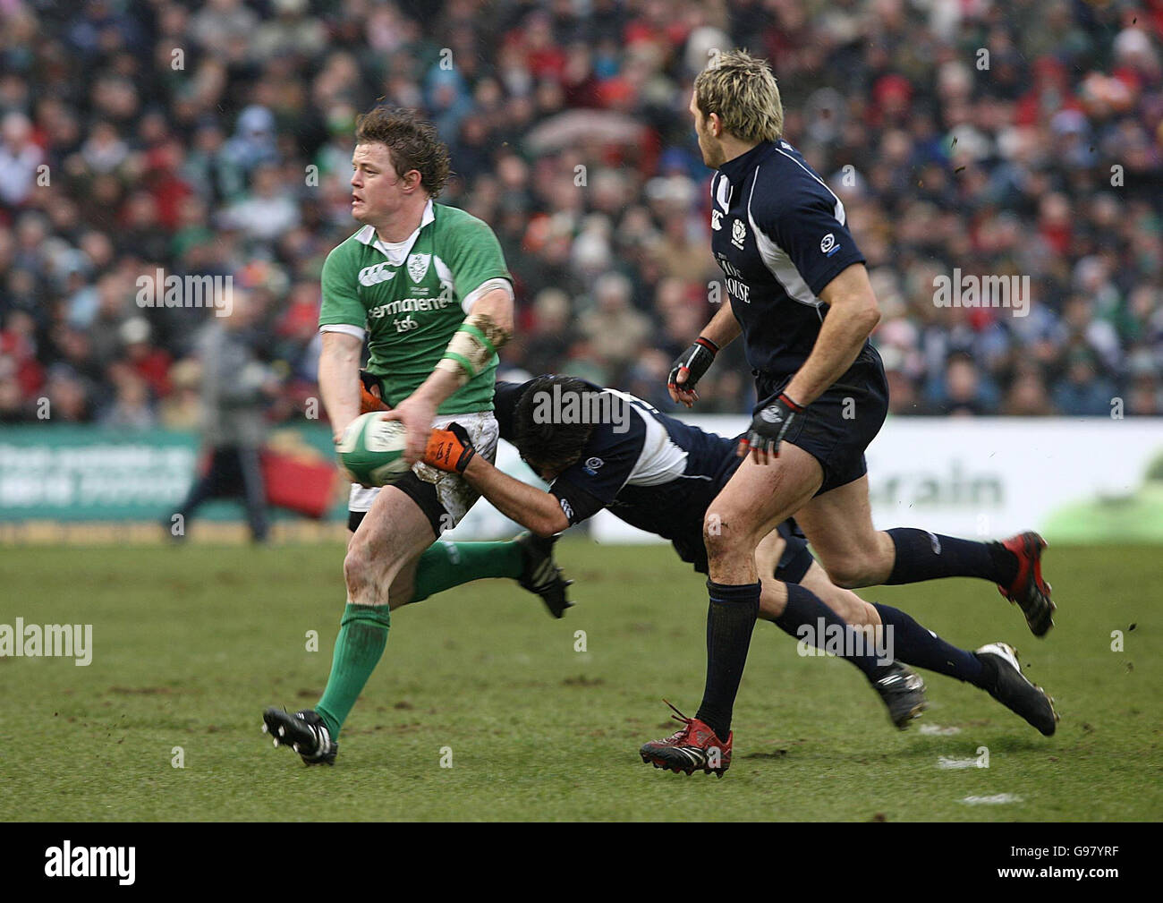 Marcus di rollo hi-res stock photography and images - Alamy