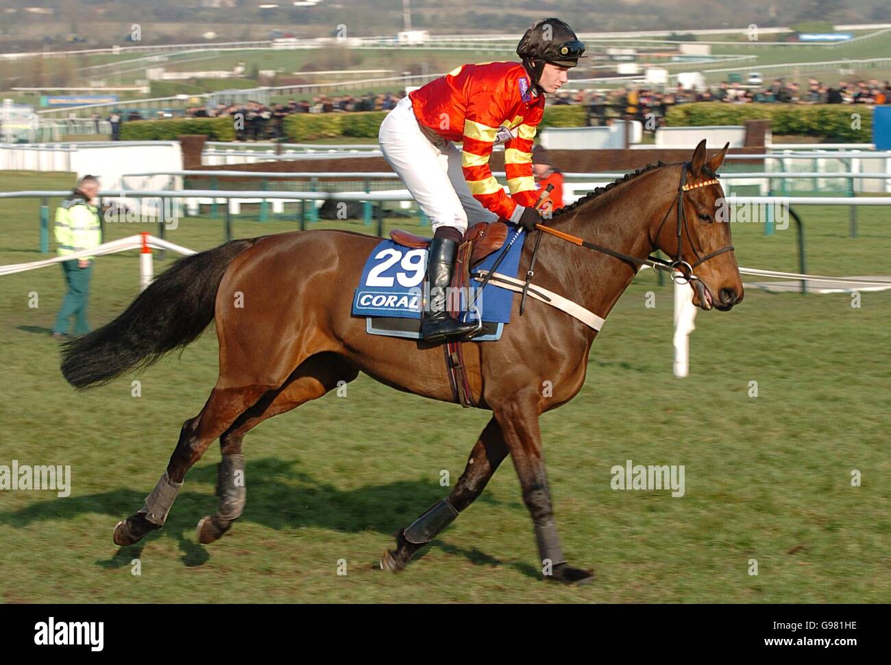 Horse Racing - Cheltenham Festival - Queen Mother Champion Chase Day ...